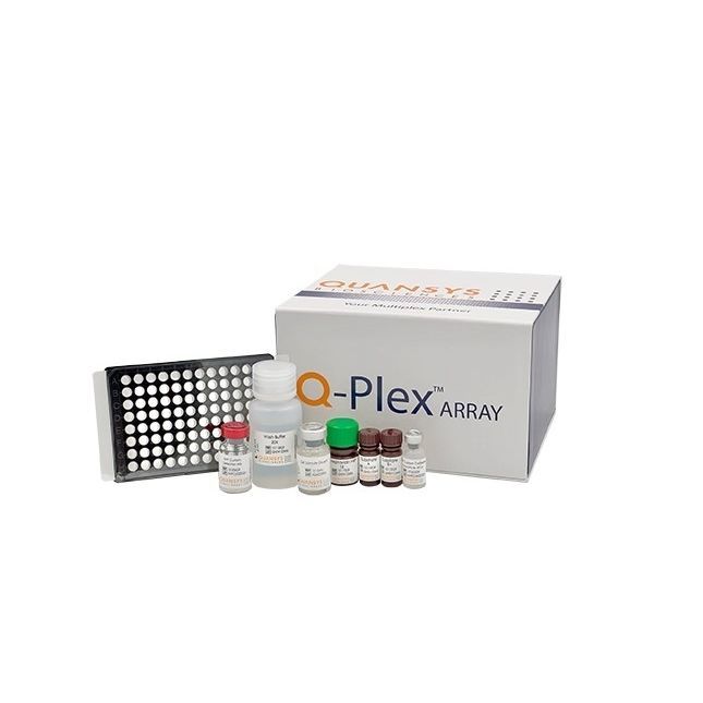 Inflammatory disease assay kit - Q-Plex™ - Quansys Biosciences ...