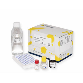 COVID-19 assay kit - CoVAMA96 - TestLine Clinical Diagnostics - IgA ...