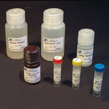 Alkaline phosphatase assay kit - LS-K301 - LifeSpan BioSciences - for ...