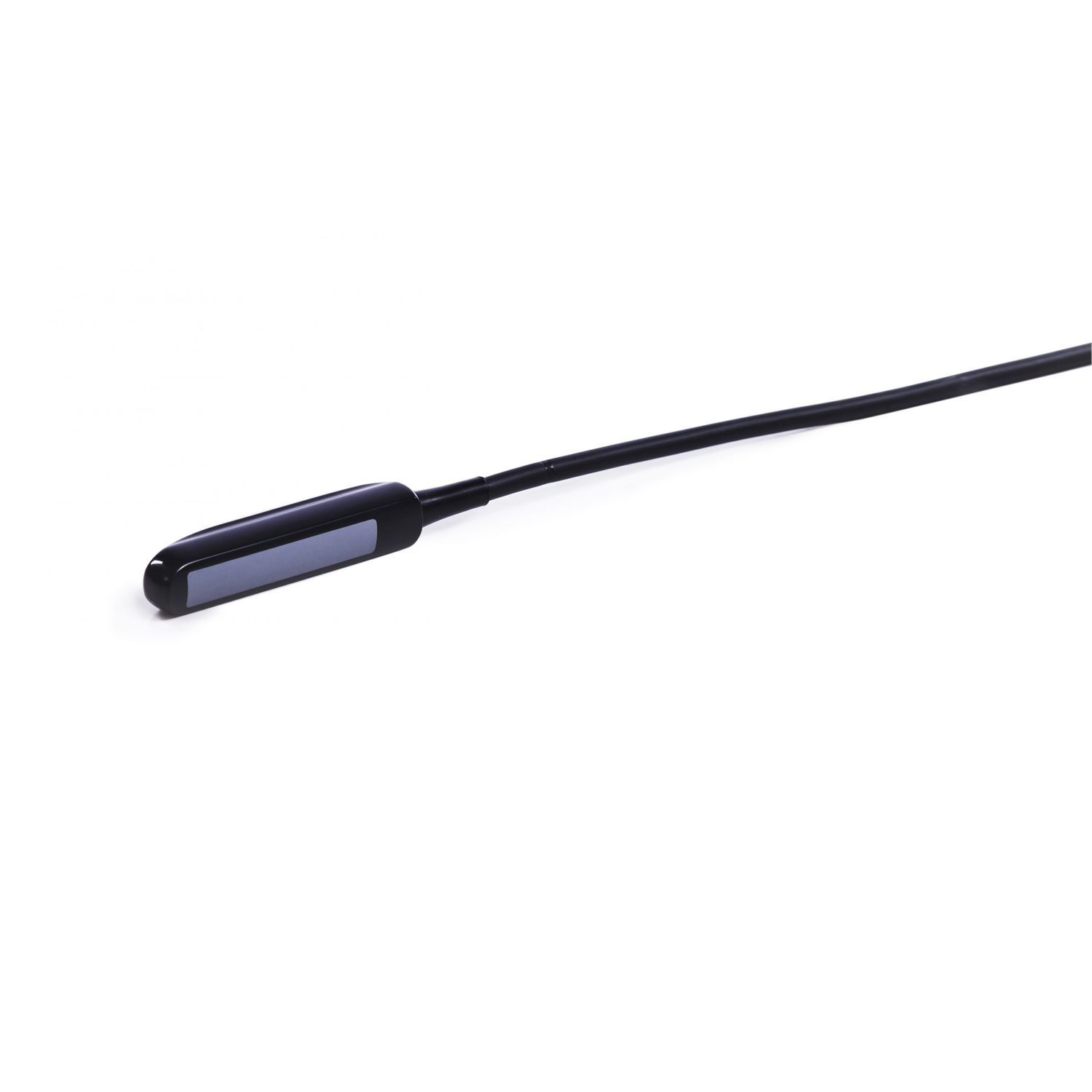 Linear veterinary ultrasound probe - ScanX Ultrasound - cattle / for horses