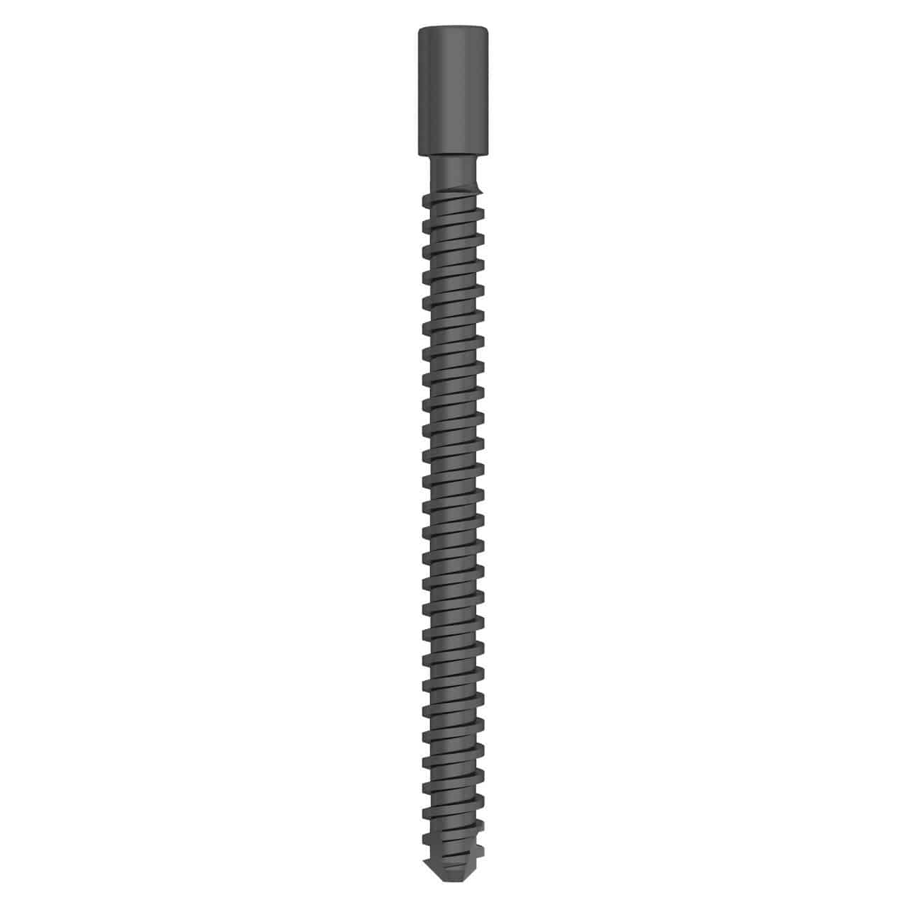 Femur compression bone screw - 305043 series - Boneunion Medical - titanium