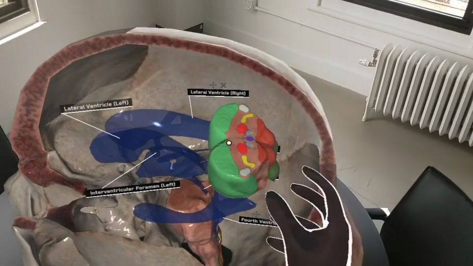 Immersive virtual reality platform - AnatomyX® - MEDIVIS - medical ...