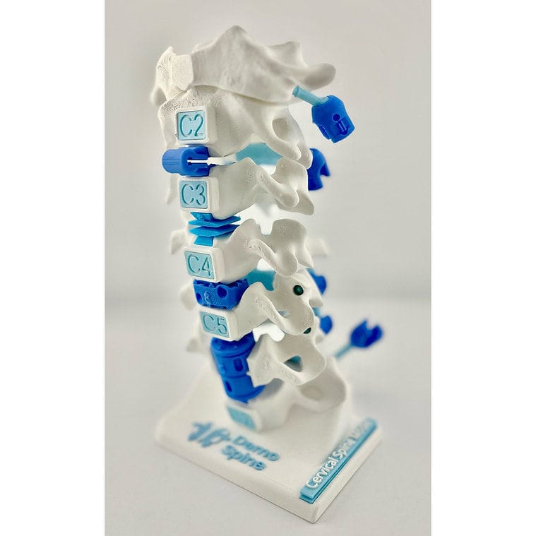Cervical spine model - DemoSpine - surgery