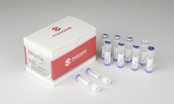 Solution reagent kit - PANAMutyper™ R - HLB PANAGENE Co., Ltd. - for ...