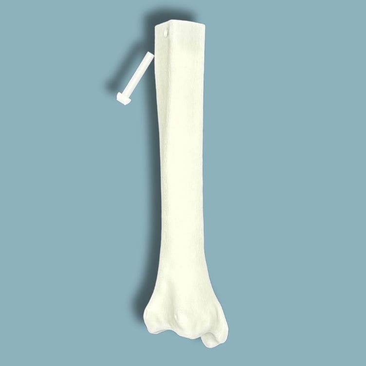 Tibia anatomical model - 03-14-01 - ADDIDREAM - surgery / training / trauma