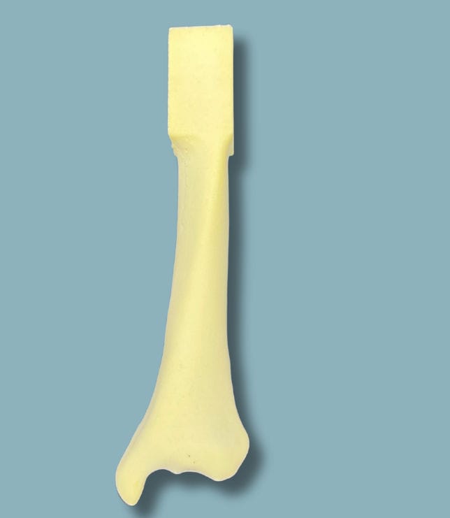 Tibia anatomical model - 03-15-01 - ADDIDREAM - training / foam / yellow