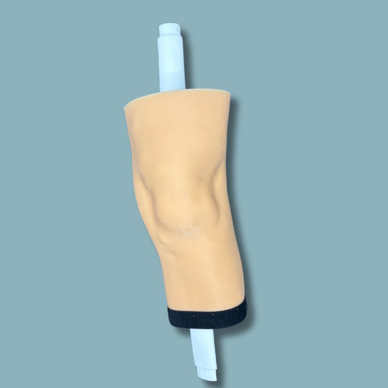 Knee model - 04-09-02 - ADDIDREAM - skin / surgery / training