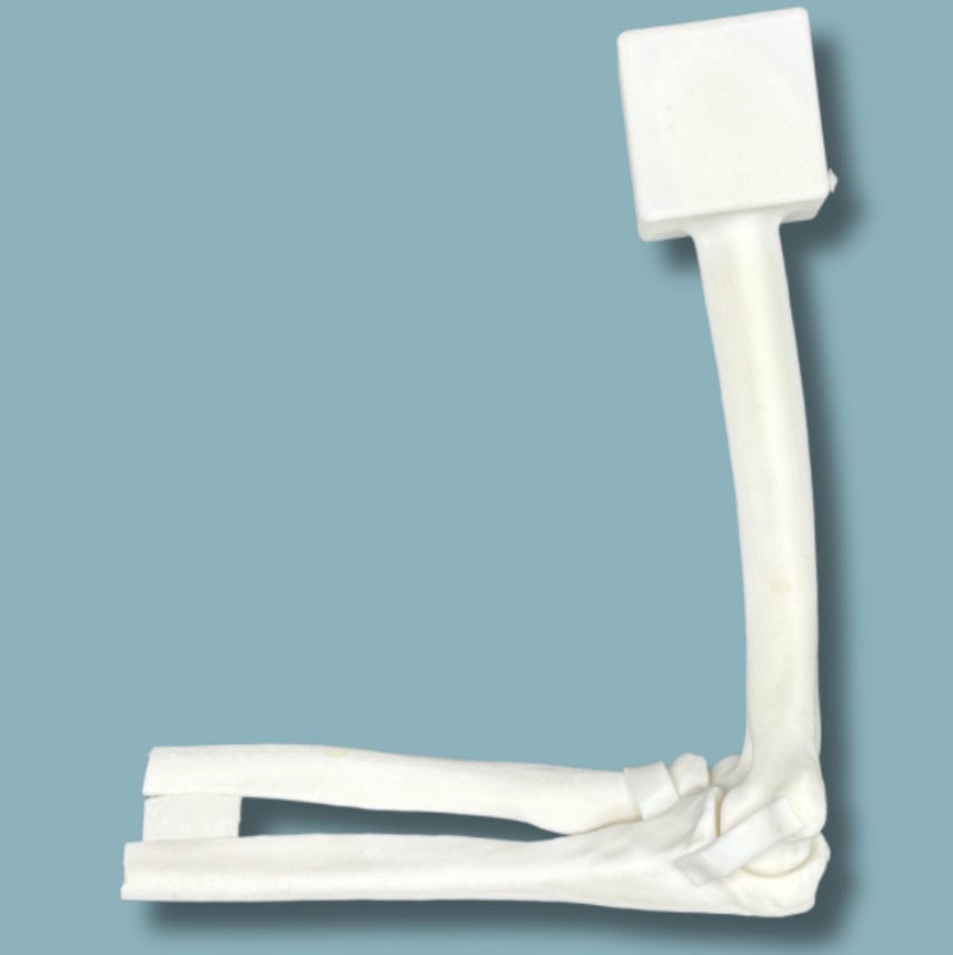 Elbow anatomical model - 14-01-01 - ADDIDREAM - surgery / training ...