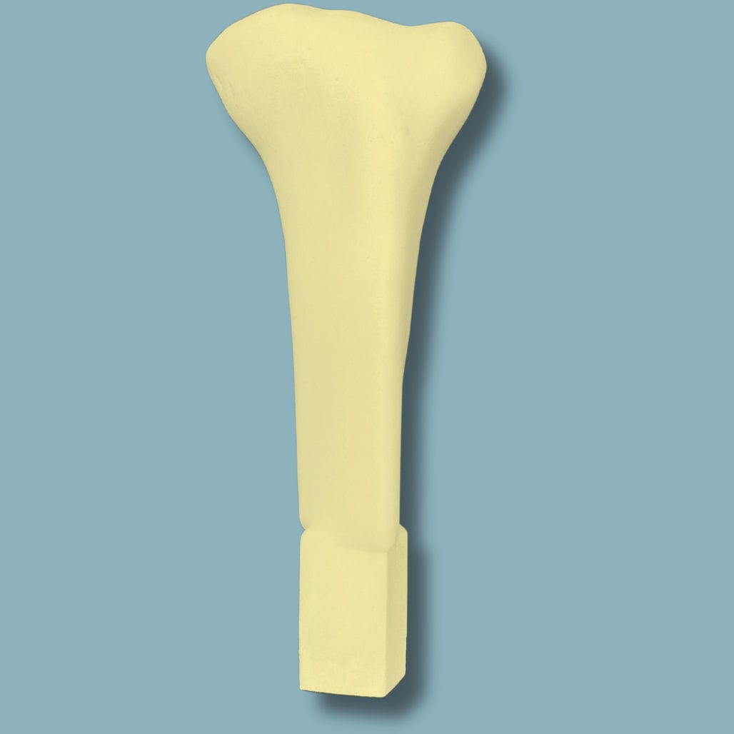 Tibia anatomical model - 03-23-01 - ADDIDREAM - surgery / training / foam