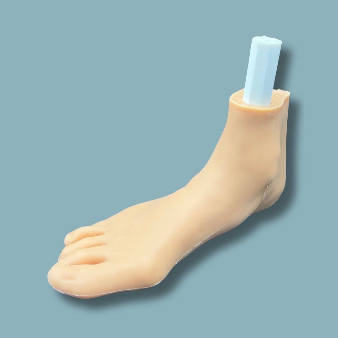 Foot anatomical model - 02-06-02 - ADDIDREAM - skin / orthopedic ...