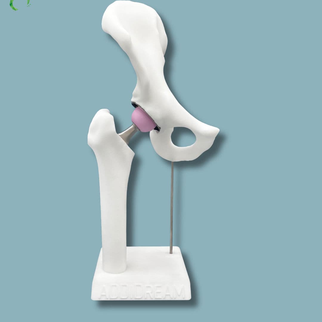 Hip model - 07-AG-01 - ADDIDREAM - plastic / white