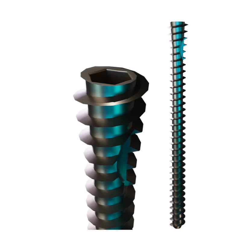 Calcaneus osteotomy screw - 38.22 series - GROUPExtremities ...