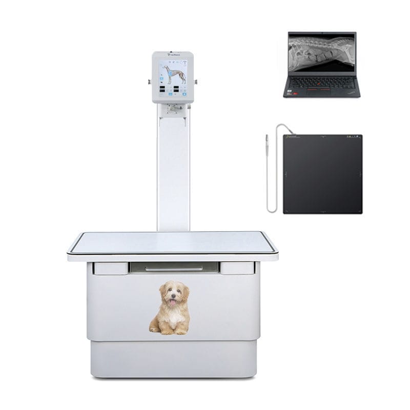 Veterinary X-ray system - YSX056-PL - YSENMED - digital