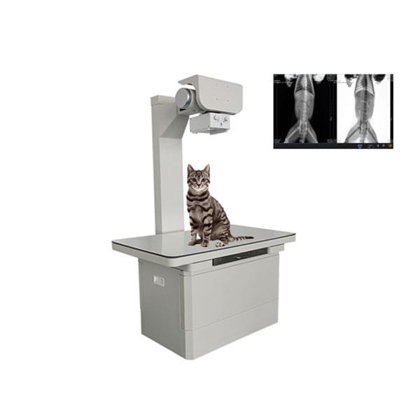 Digital veterinary X-ray system - Shandong Newheek Image Equipment