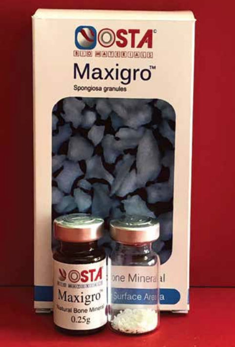 Xenograft bone substitute - OST-POW-L-0.25G - OSTA Biomaterials - for ...