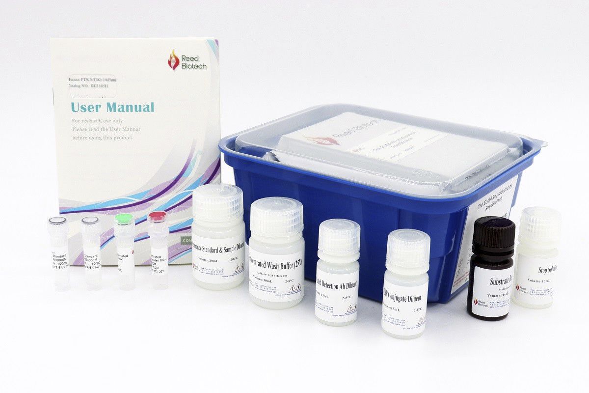 IL-8 test kit - RE2733HG - ReedBiotech - for research / serum / plasma