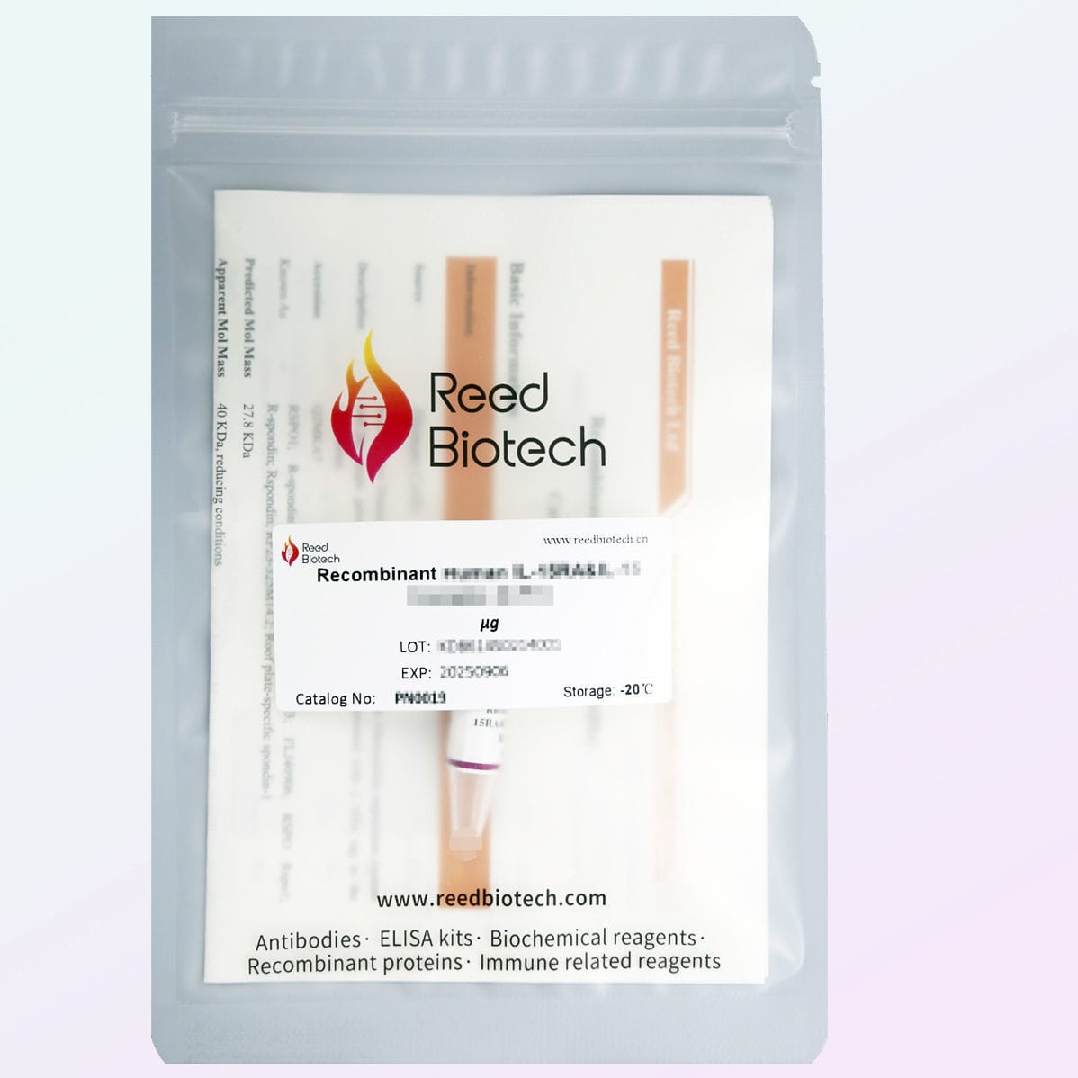 Solution reagent kit - M-CSF - ReedBiotech - growth factor ...