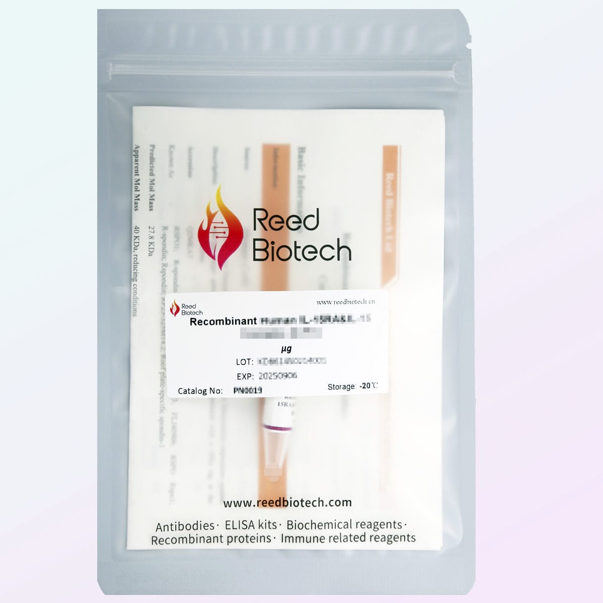 Cytokine reagent - OSM - ReedBiotech - solution / lyophilized / protein