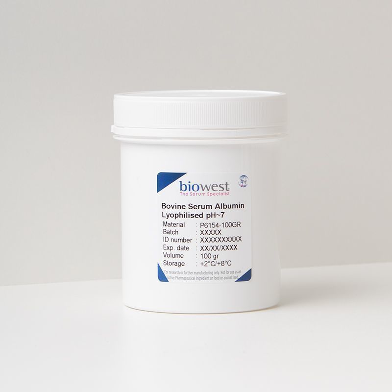 Bovine serum albumin reagent - P6154 series - Biowest - for protein ...