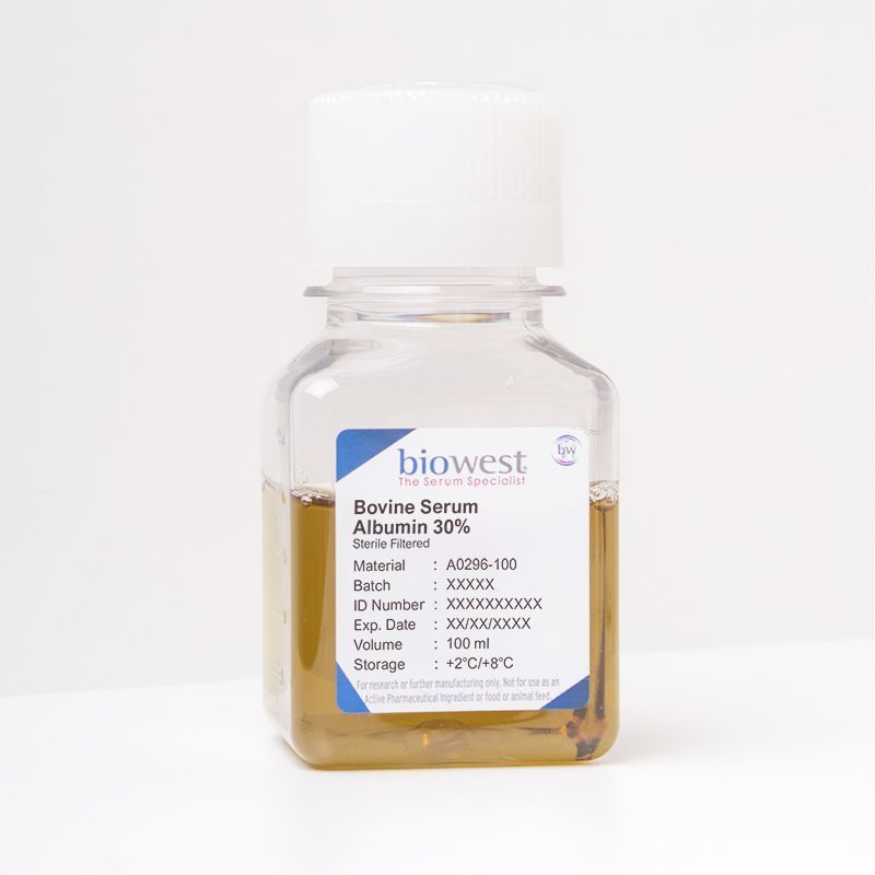 Bovine serum albumin reagent - A0296 - Biowest - solution / for ...