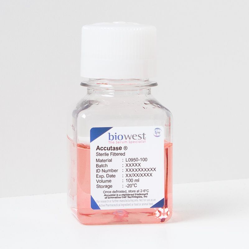 Solution reagent - Accutase® - Biowest - enzyme / for cell culture ...