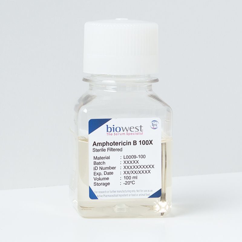 Amphotericin B reagent - L0009 series - Biowest - antifungal / solution ...