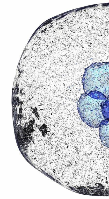 Cancer test kit - HERIGUARD™ MMR - Geneseeq - oncology / for genetic ...