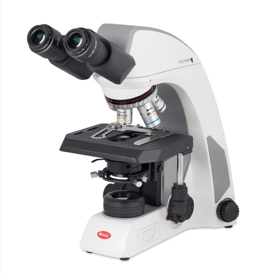 Optical microscope - Panthera DL - Motic Europe - digital / laboratory ...