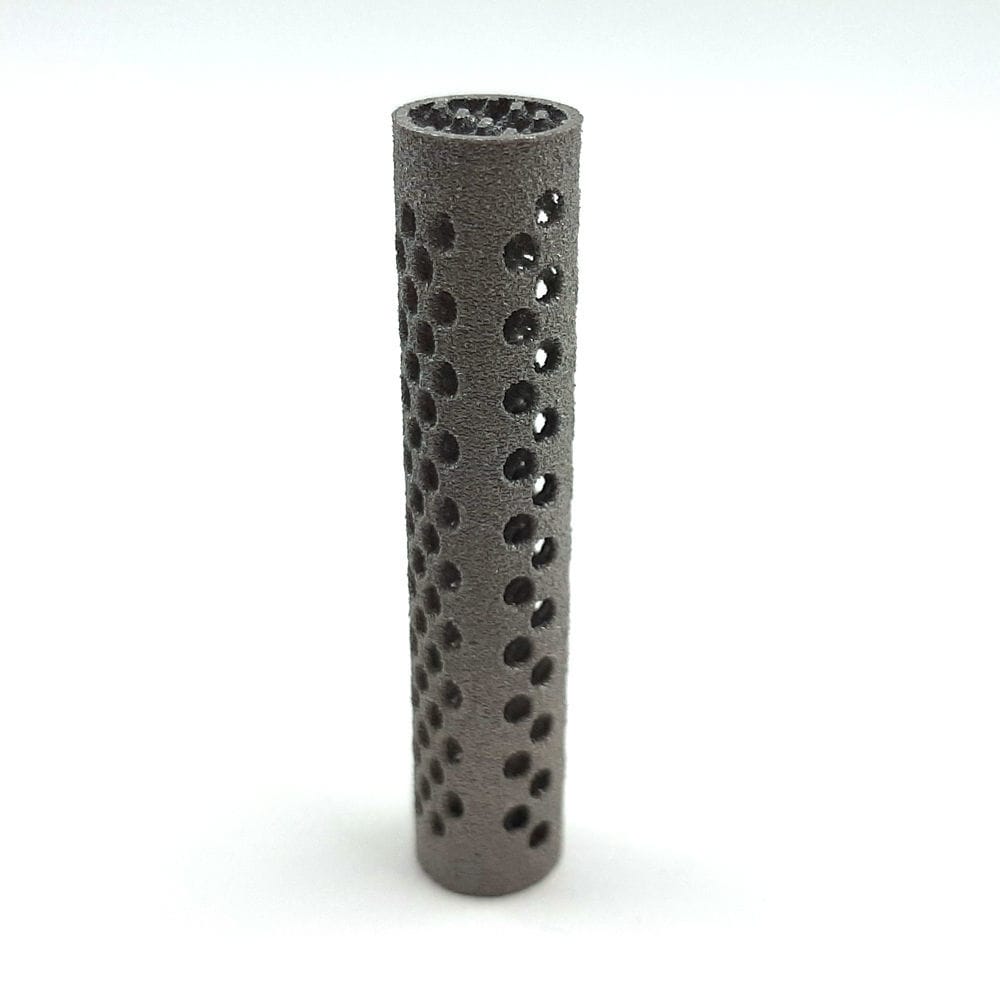 Cervical veterinary interbody spacer - 02.1670B - Biosurgex - titanium