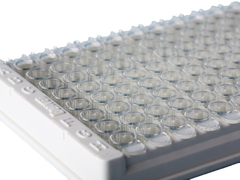 Research microplate - SM-HMM-0084 - Alta DiagnoTech - ELISA ...