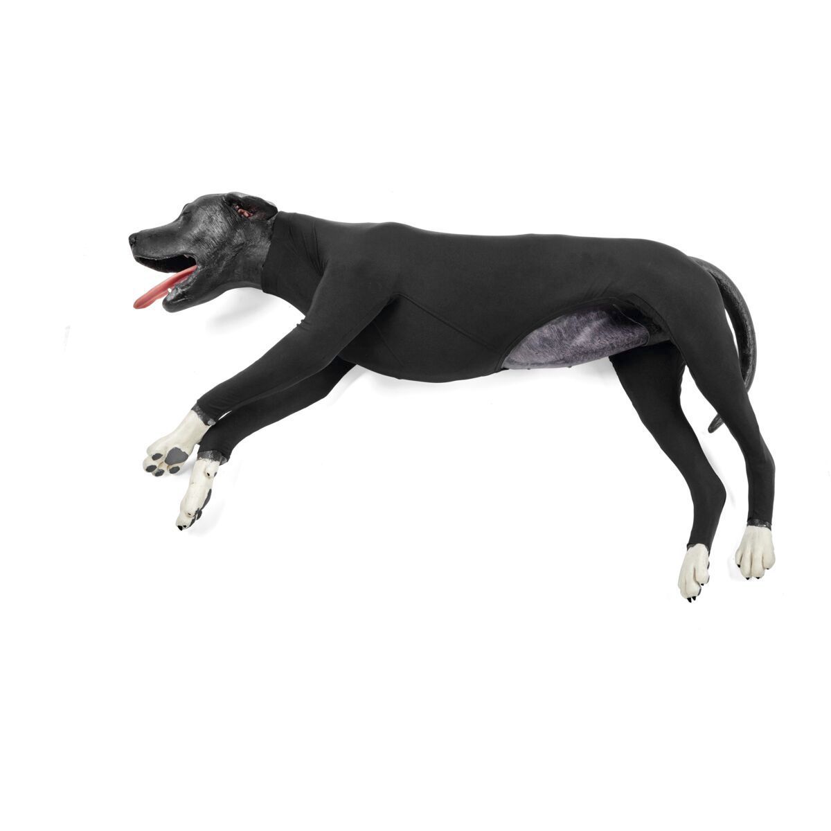 Venipuncture simulator - 1025621 - 3B Scientific - for venipuncture ...