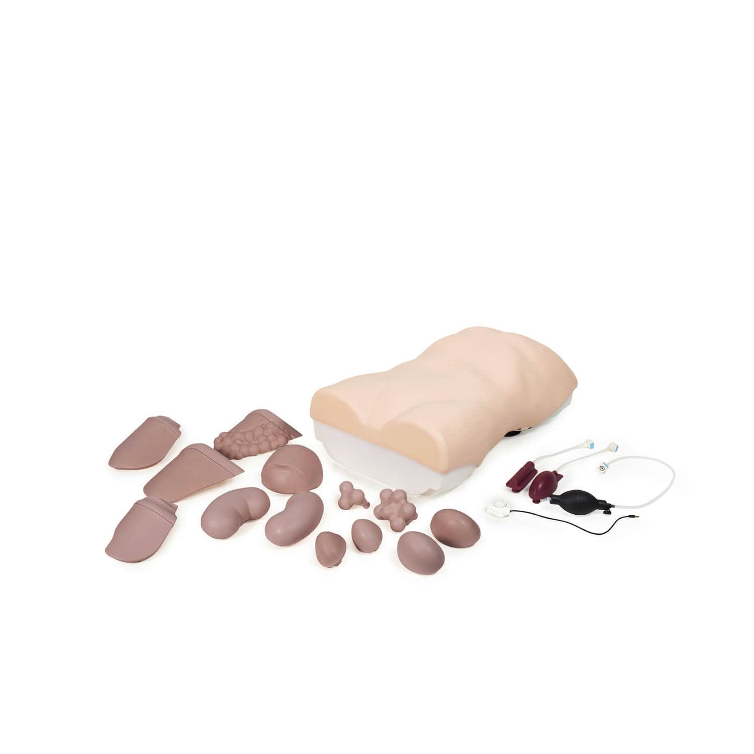 Auscultation simulation trainer - ALT60000 - Adam, Rouilly - palpation ...