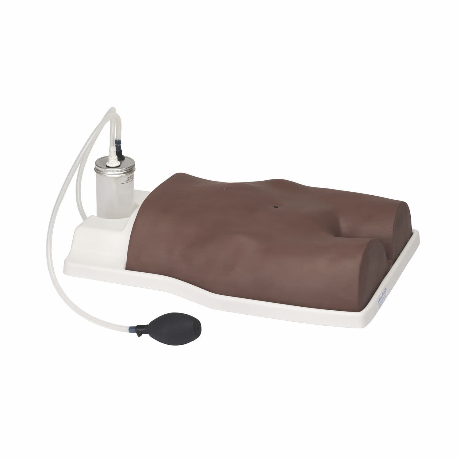 Training simulator - AR341-B - Adam, Rouilly - catheterization / for ...