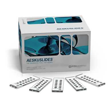 ANA HEp-2 test kit - AESKUSLIDES® - AESKU.GROUP - for autoimmune ...