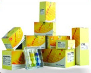 Diagnostic reagent - Clinical Chemistry Reagents - Agappe Diagnostics ...