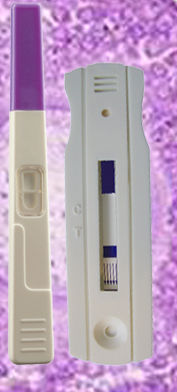 Rapid ovulation test - 02-254 series - Alfa Scientific Designs - LH ...