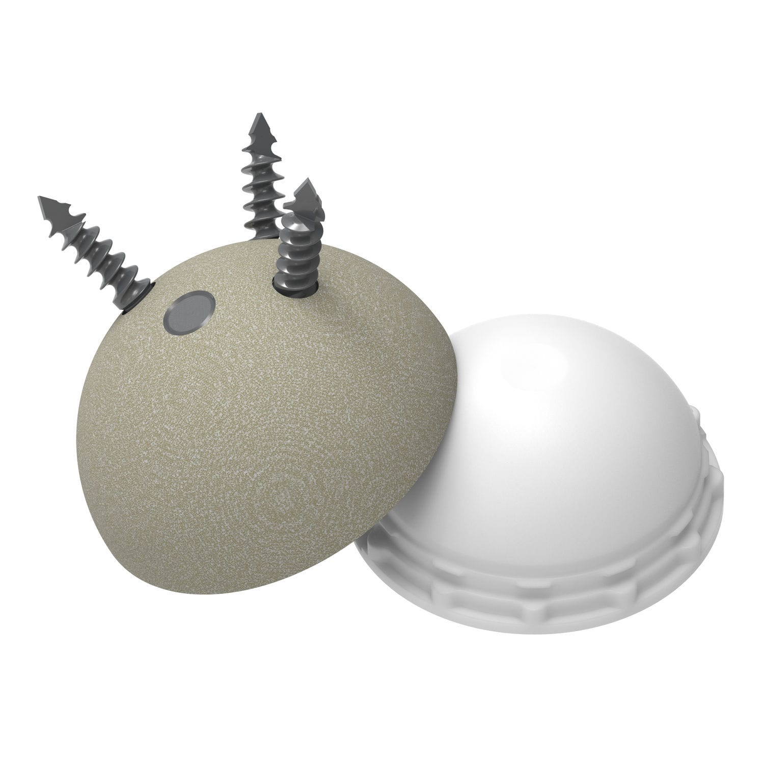 Cementless acetabular prosthesis - Century II - BAUMER