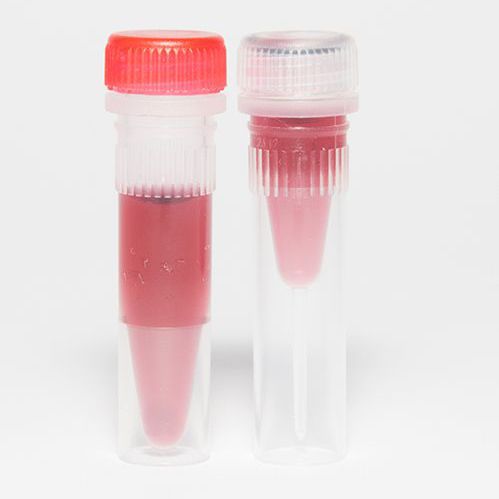 Bovine serum albumin reagent - EM.BSA series - BBI Enzymes - for ELISA ...