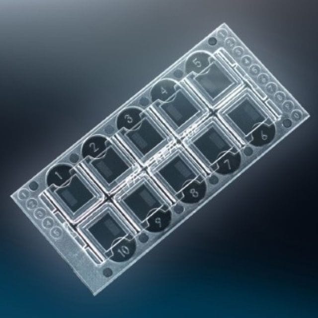 Manual counting chamber - Fast-Read® 102 - Biosigma SPA