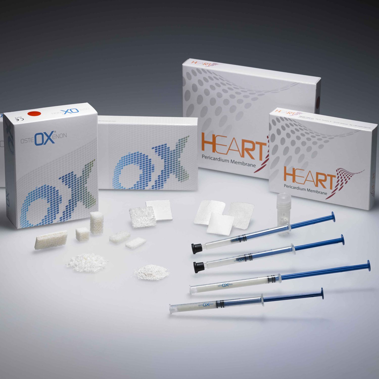 Xenograft bone substitute - OSTEOXENON® - BiOTECK - for dental sugery ...