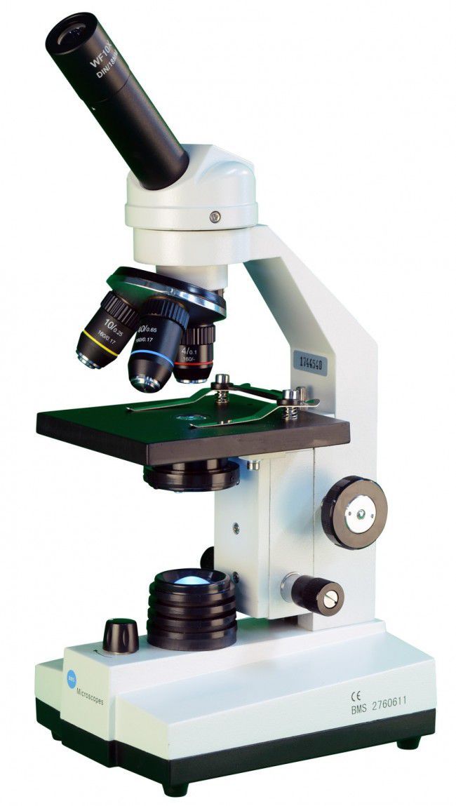 Laboratory microscope - 100 FL - Breukhoven - optical / monocular / LED