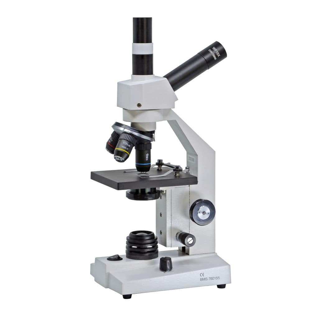 Optical microscope - 200 FL - Breukhoven - laboratory / upright / monocular