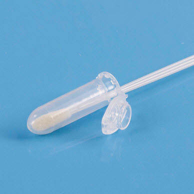 DNA sampling swab - 4N6 FLOQSwabs™ - Copan Italia - with transport medium