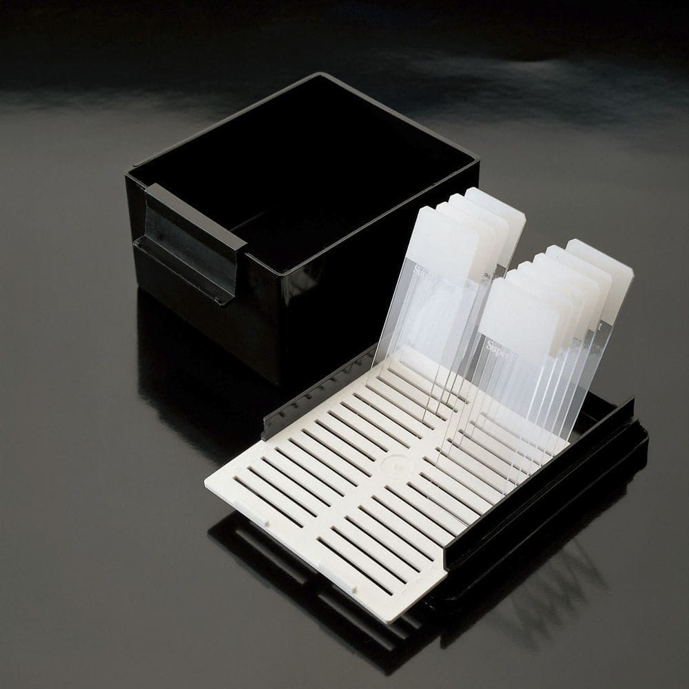 Staining tank with support - 191101 - Deltalab