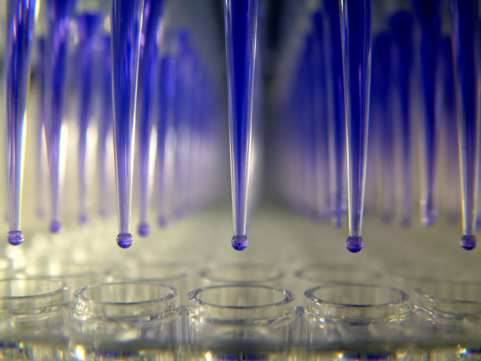 Enzyme reagent - Dia.Pro Diagnostic Bioprobes - plasma / diagnostic / IgM