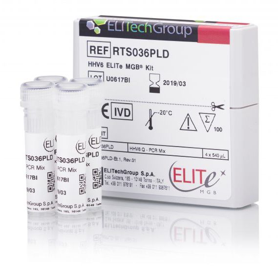 Herpes test kit - RTS036PLD - ELITech Group - HHV-6 / plasma / whole blood