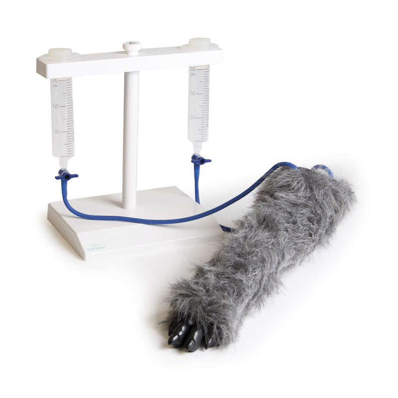 Intravenous injection simulator - VET4610 - Erler-Zimmer - veterinary ...