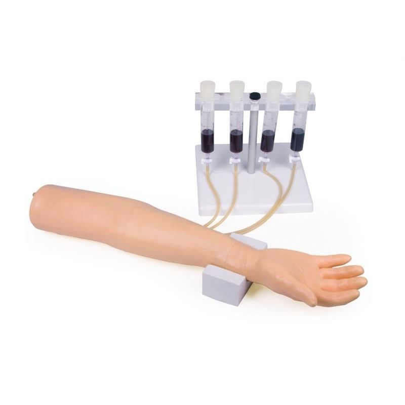 Intravenous injection simulator - 7010 - Erler-Zimmer - for general ...