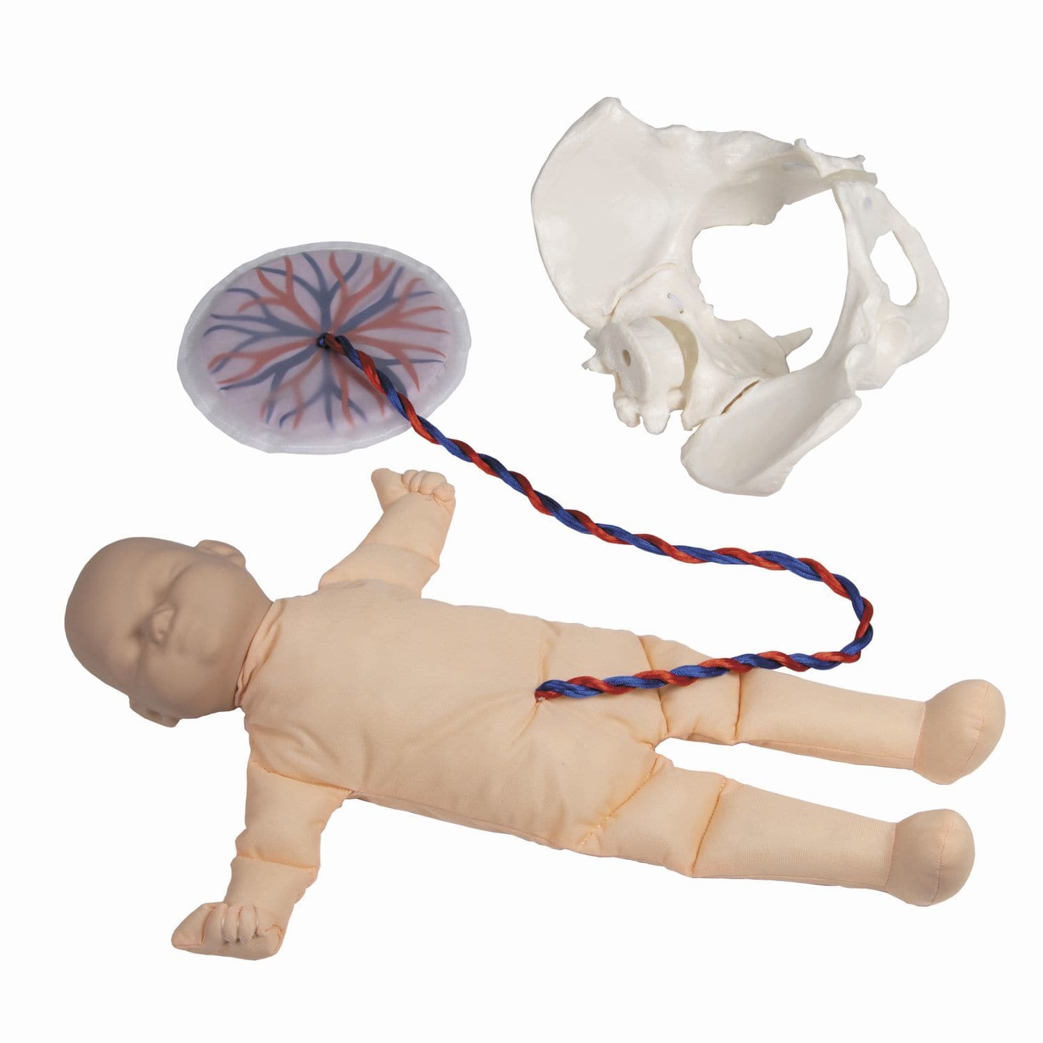 Childbirth demonstration simulator - 4071 - Erler-Zimmer - obstetrical ...