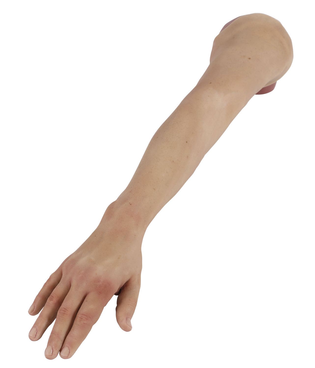 Puncture simulator - 7710 - Erler-Zimmer - injection / infusion / training